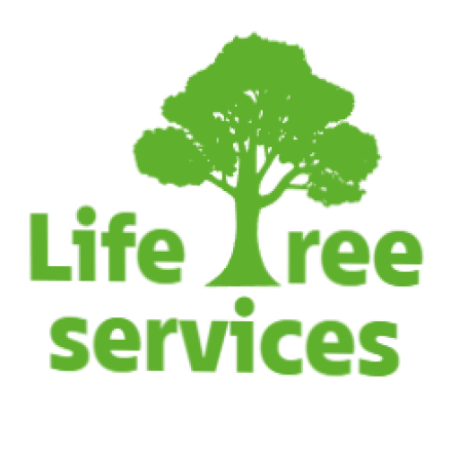 Experts tree services in Connecticut 24/7 - Life Tree Services